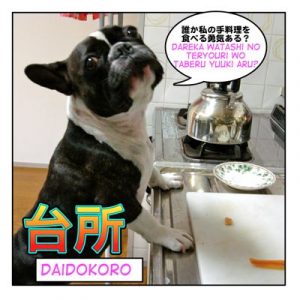 台所 ( = daidokoro ) : Things around the kitchen – Maggie Sensei