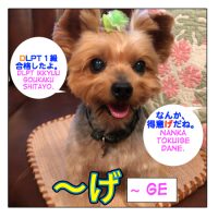 How to use 〜げ ( = ge) – Maggie Sensei
