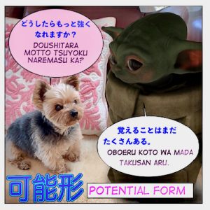 How to use Verb Potential Form (可能形=かのうけい） – Maggie Sensei